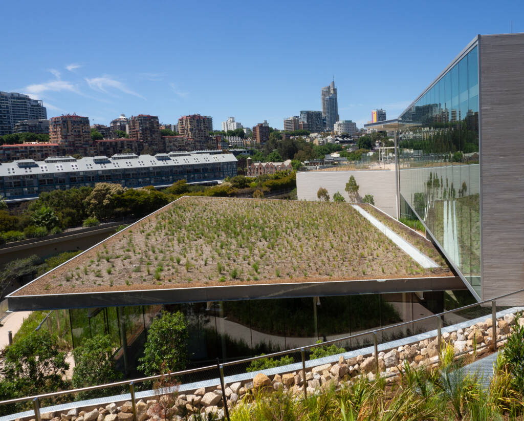 Two architectural specialists review Sydney Modern – Culture Heist